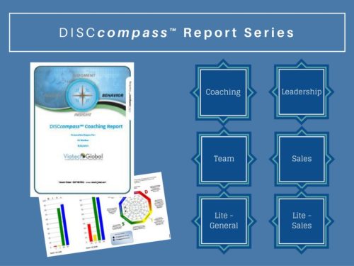 DISCcompass-graphic1 | Viatech Global