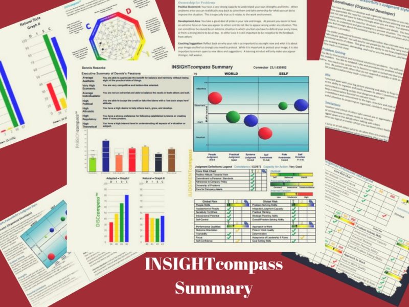 INSIGHTcompass_Summary | Viatech Global