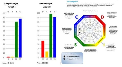 combined-DISC-graphic | Viatech Global